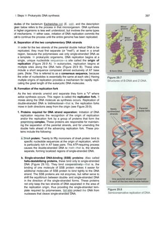 dna structure replication and transcription | PDF
