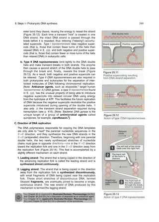 dna structure replication and transcription | PDF