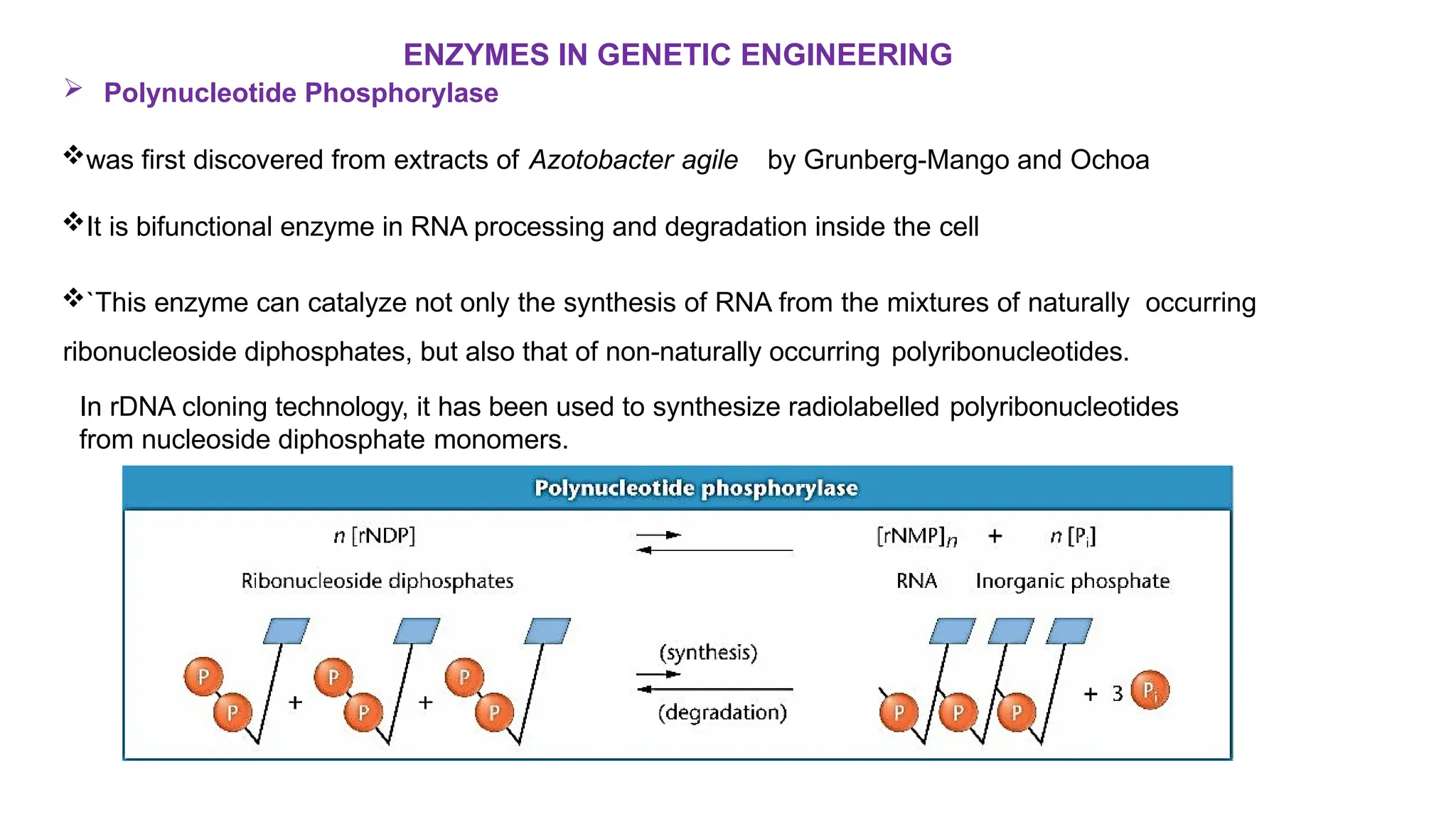 Genetic_Engineering_with_Enzyme's(Lecture-4).pptx