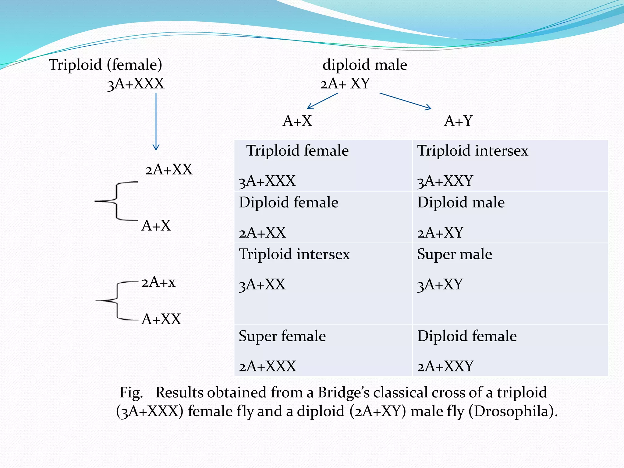 Genetic Source | PPTX