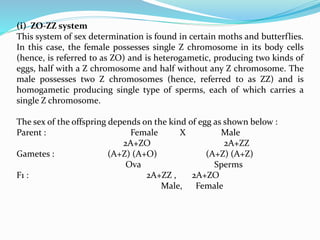 Genetic Source | PPTX