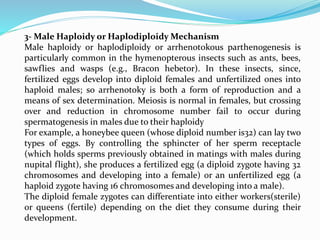Genetic Source | PPTX
