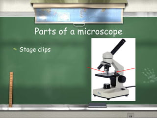 Parts of a Microscope and its functions. | PPT