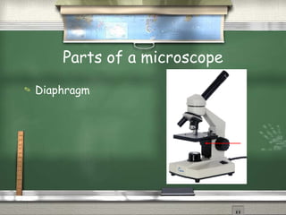 Parts of a Microscope and its functions. | PPT