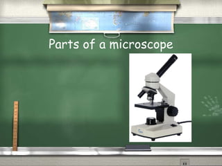 Parts of a Microscope and its functions. | PPT
