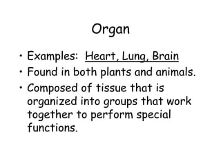 Kavya.pptx | Biological Sciences | Science