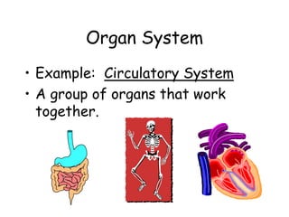 Kavya.pptx | Biological Sciences | Science