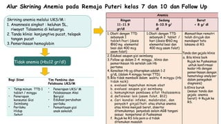 620721379-Juknis-Skrining-Anemia-Yuda.pptx