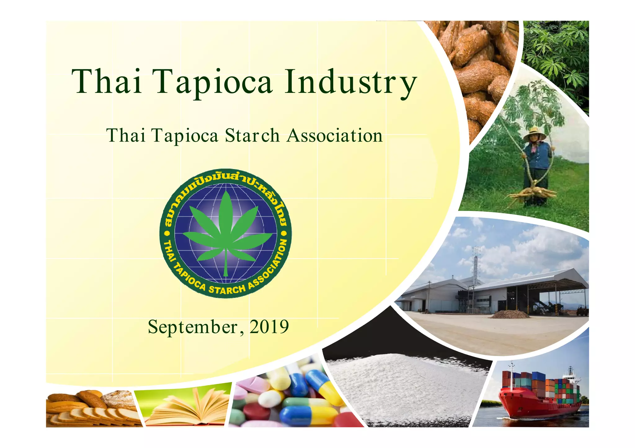 Thai Tapioca Industry - Introduction to TTSA | PDF