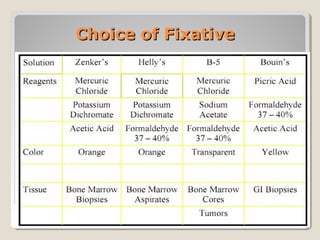 Fixatives in Histopathology | PPT | Chemistry | Science