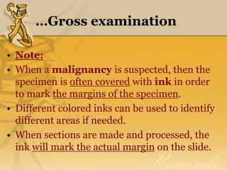 62120 tissue processing | PPT