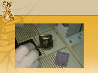 62120 tissue processing | PPT