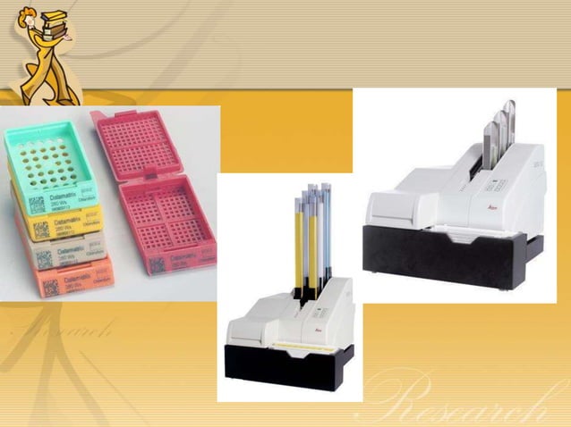 62120 tissue processing | PPT