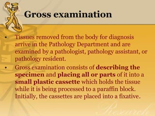 62120 tissue processing | PPT