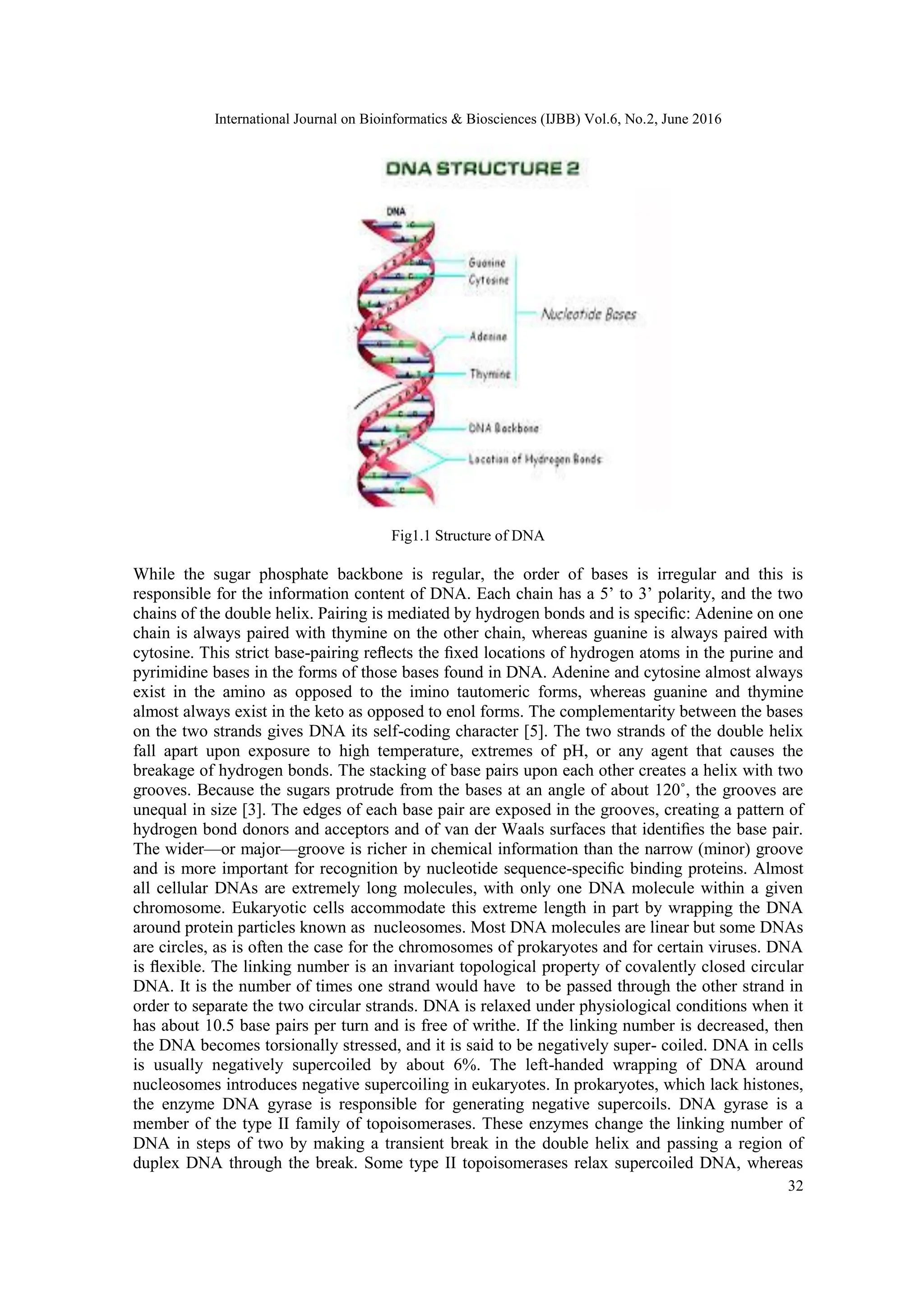 DNA IMAGE SEGMENTATION – A COMPARISON OF EDGE DETECTION TECHNIQUES | PDF