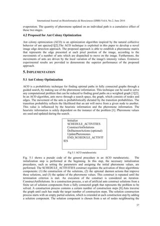 DNA IMAGE SEGMENTATION – A COMPARISON OF EDGE DETECTION TECHNIQUES | PDF