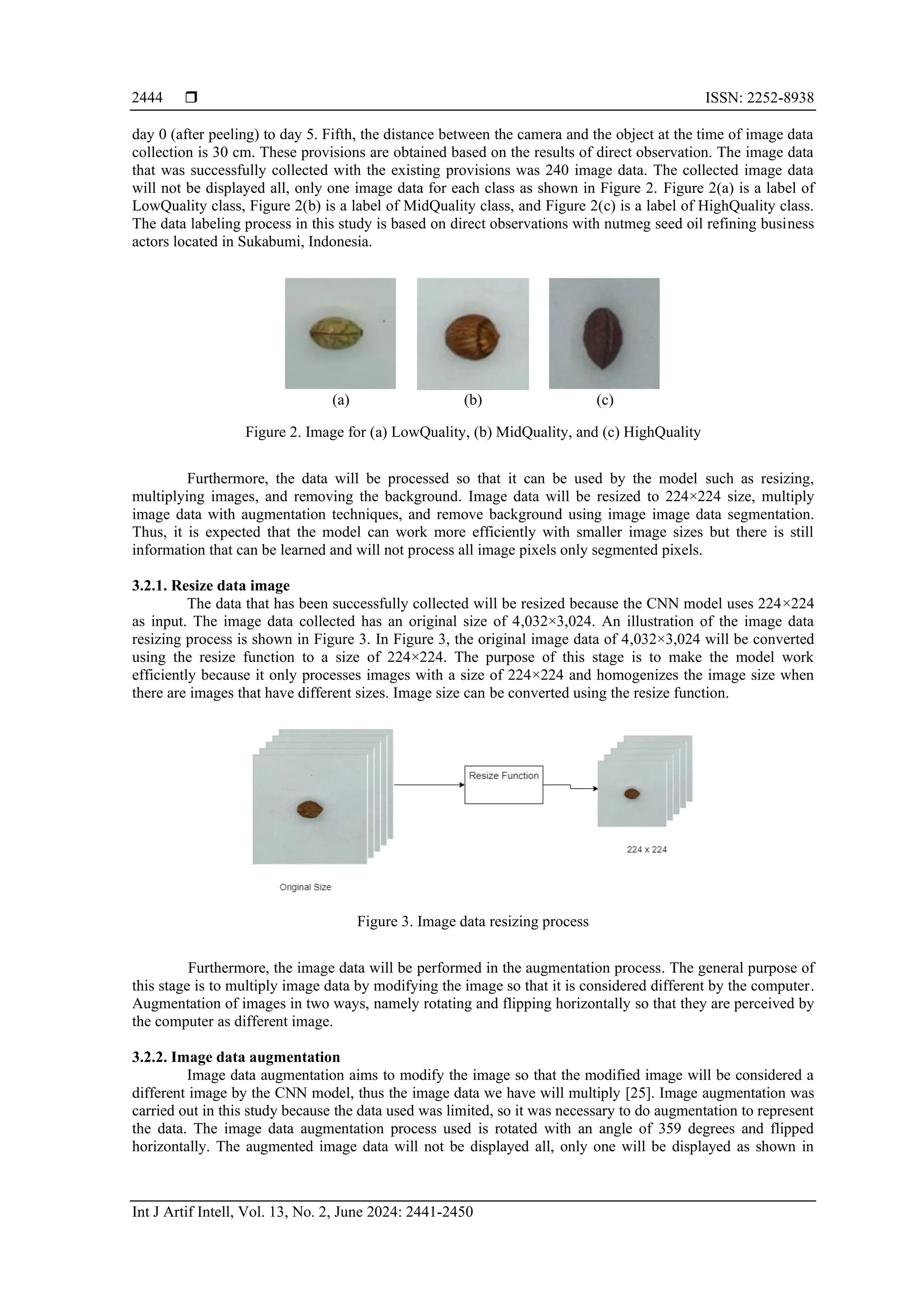 Classification of nutmeg ripeness using artificial intelligence | PDF