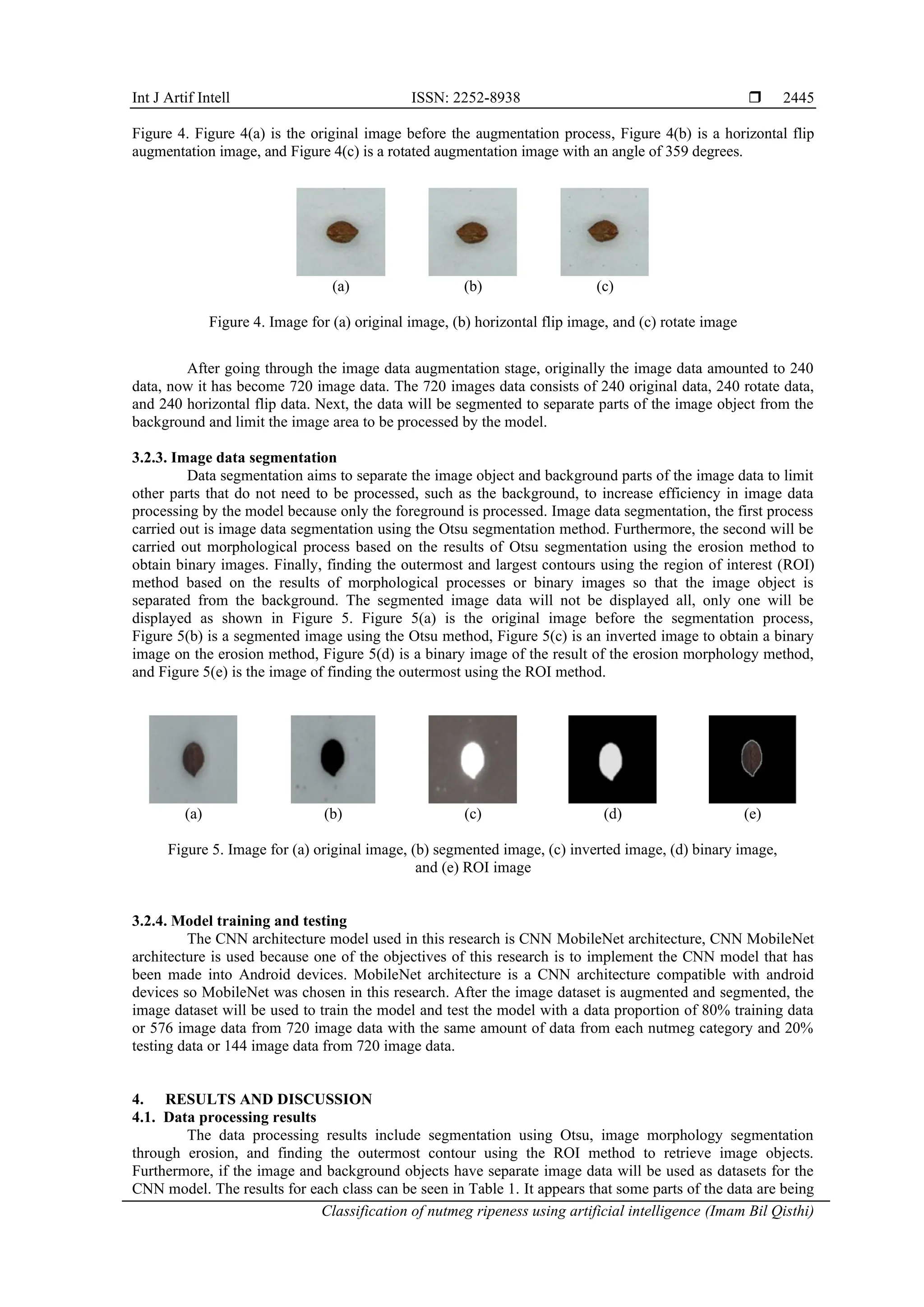 Classification of nutmeg ripeness using artificial intelligence | PDF