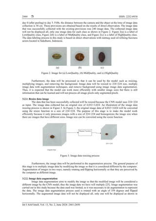 Classification of nutmeg ripeness using artificial intelligence | PDF