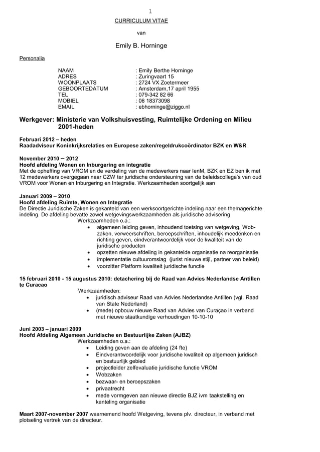 CURRICULUM VITAE2 | PDF