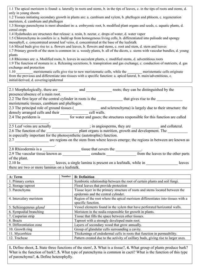 REVIEW ENG PLANT TISSUES ORGANS | PDF