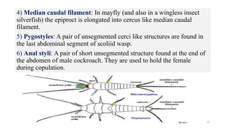624f456d-fcf1-4169-a52e-54d68daa4107.pptx