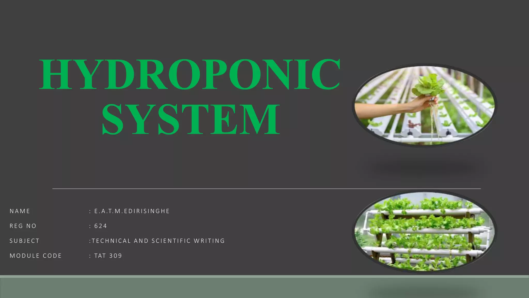 Hydroponic System ppt | PPTX