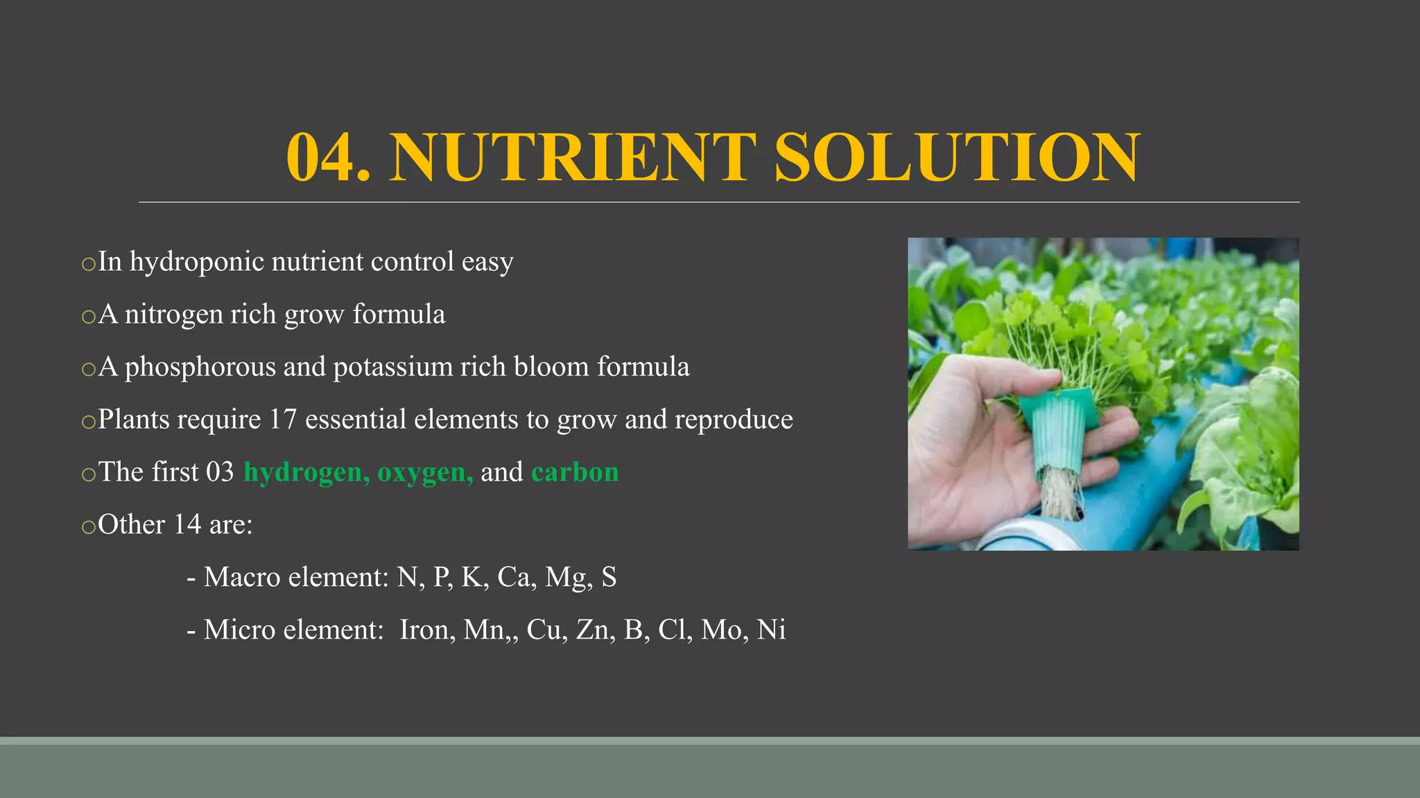 Hydroponic System ppt | PPTX