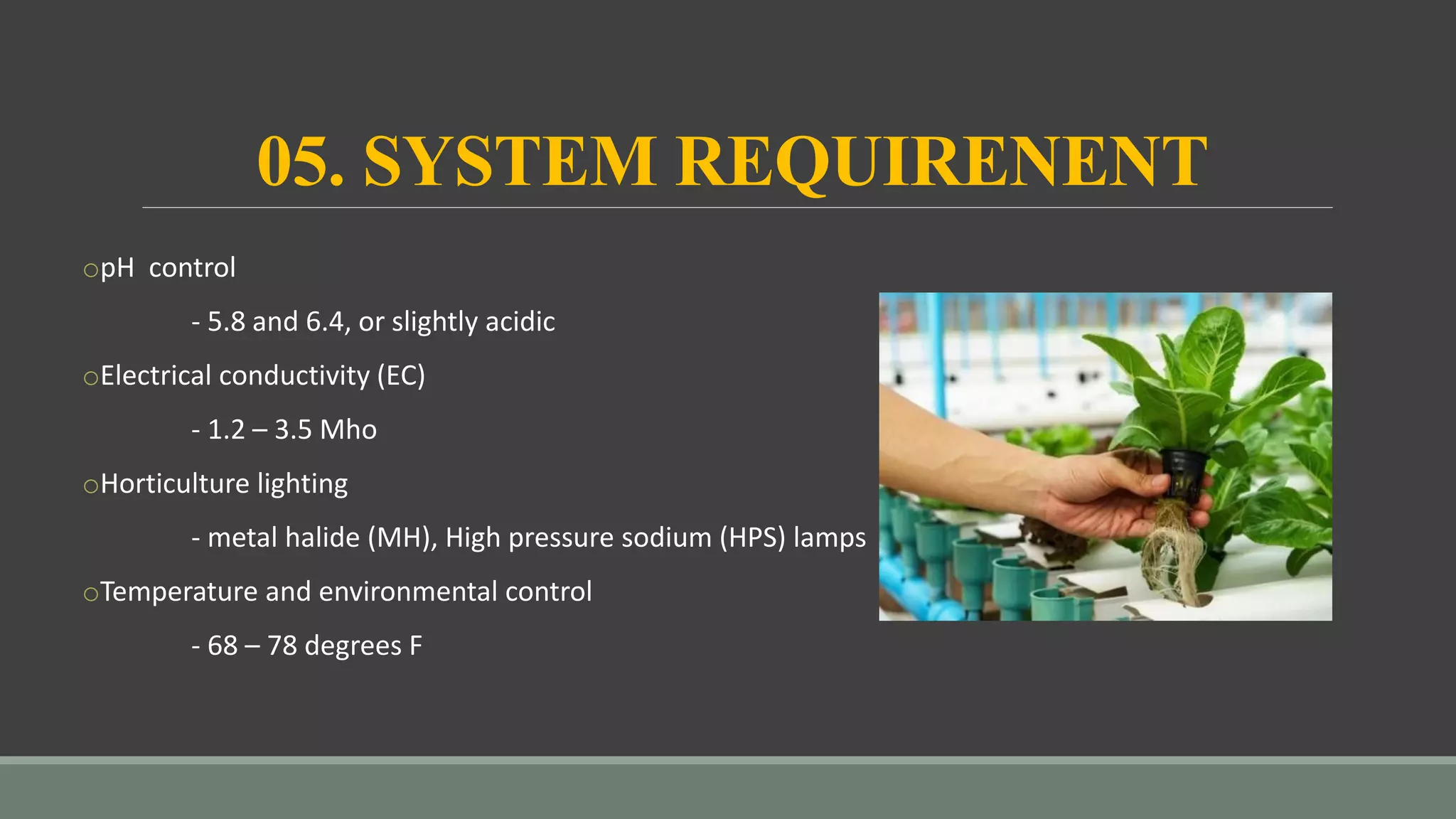 Hydroponic System ppt | PPTX