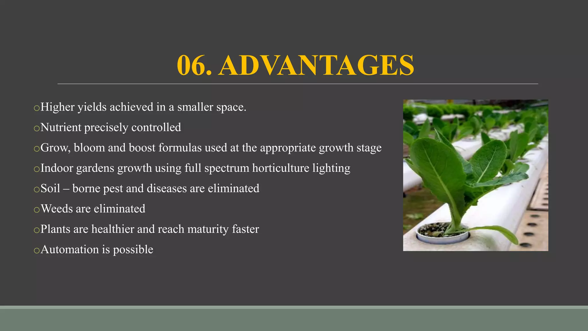 Hydroponic System ppt | PPTX