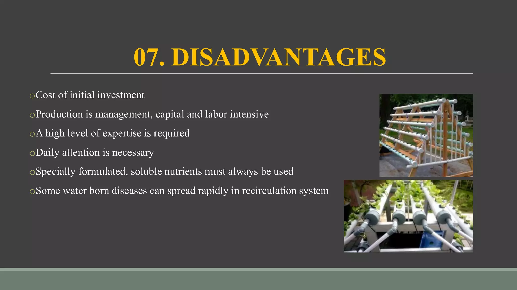 Hydroponic System ppt | PPTX