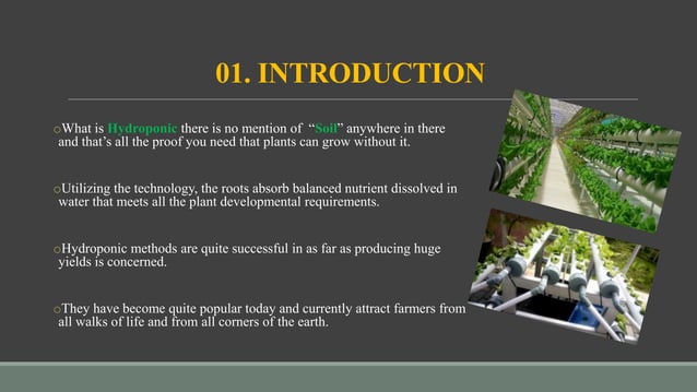 Hydroponic System ppt | PPT