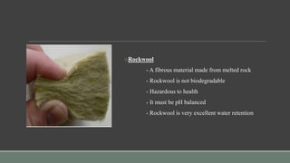 Hydroponic System ppt | PPTX