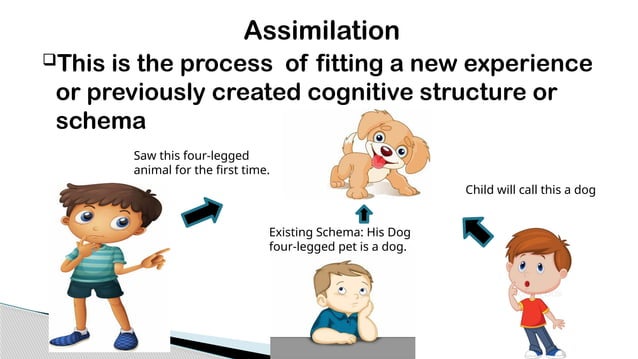 Piaget's Stages of Cognitive Development | PPTX