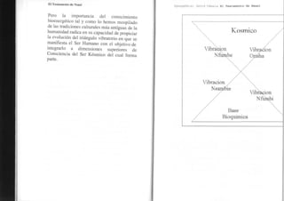 62550039 el-test-amen-to-de-nsasi | PDF