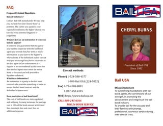 Bail USA PowerPoint National 2016 | PPT