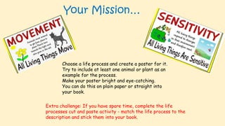 Characteristics and Life-Processess.pptx