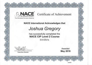 Nace level 2 | PDF