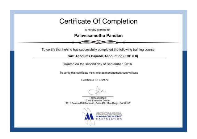 SAP Accounts Payable Accounting Certification | PDF