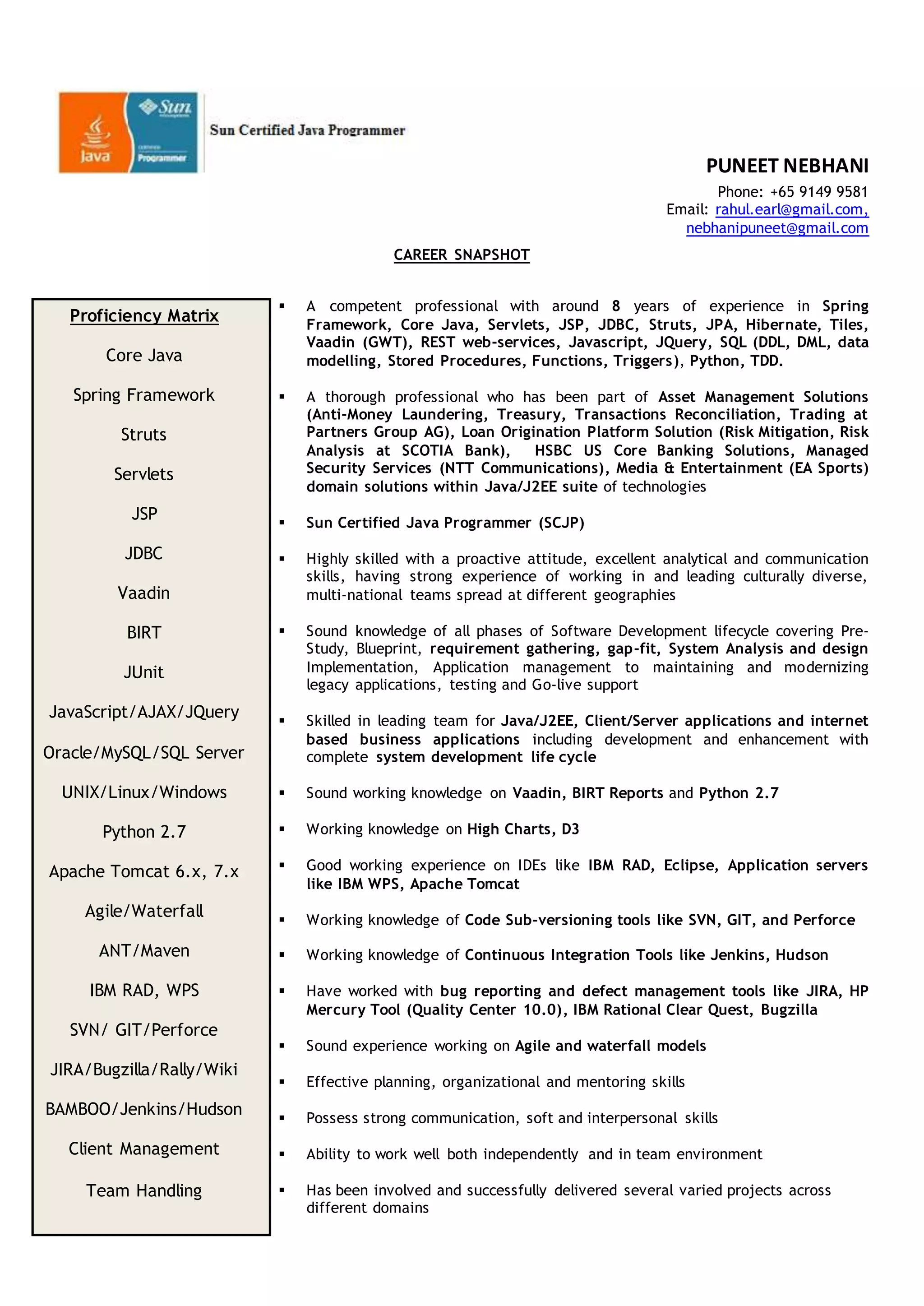 Puneet_Senior_Java_Developer_Resume | DOCX