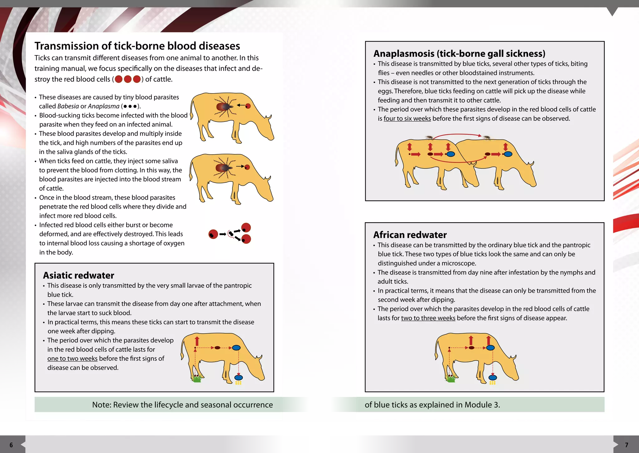 Manual 9 Tick Borne Blood Parasites | PDF