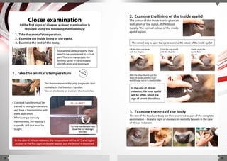 Manual 9 Tick Borne Blood Parasites | PDF