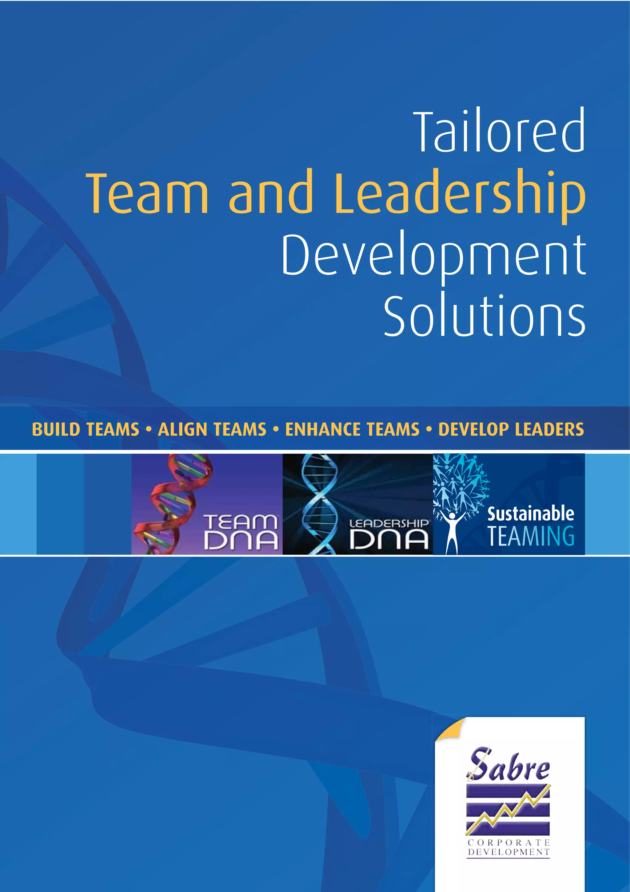Team and Leadership DNA Brochure 2014 | PDF