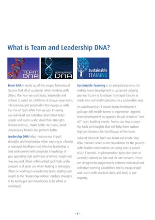 Team and Leadership DNA Brochure 2014 | PDF