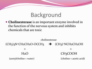 Cholinesterase | PPTX