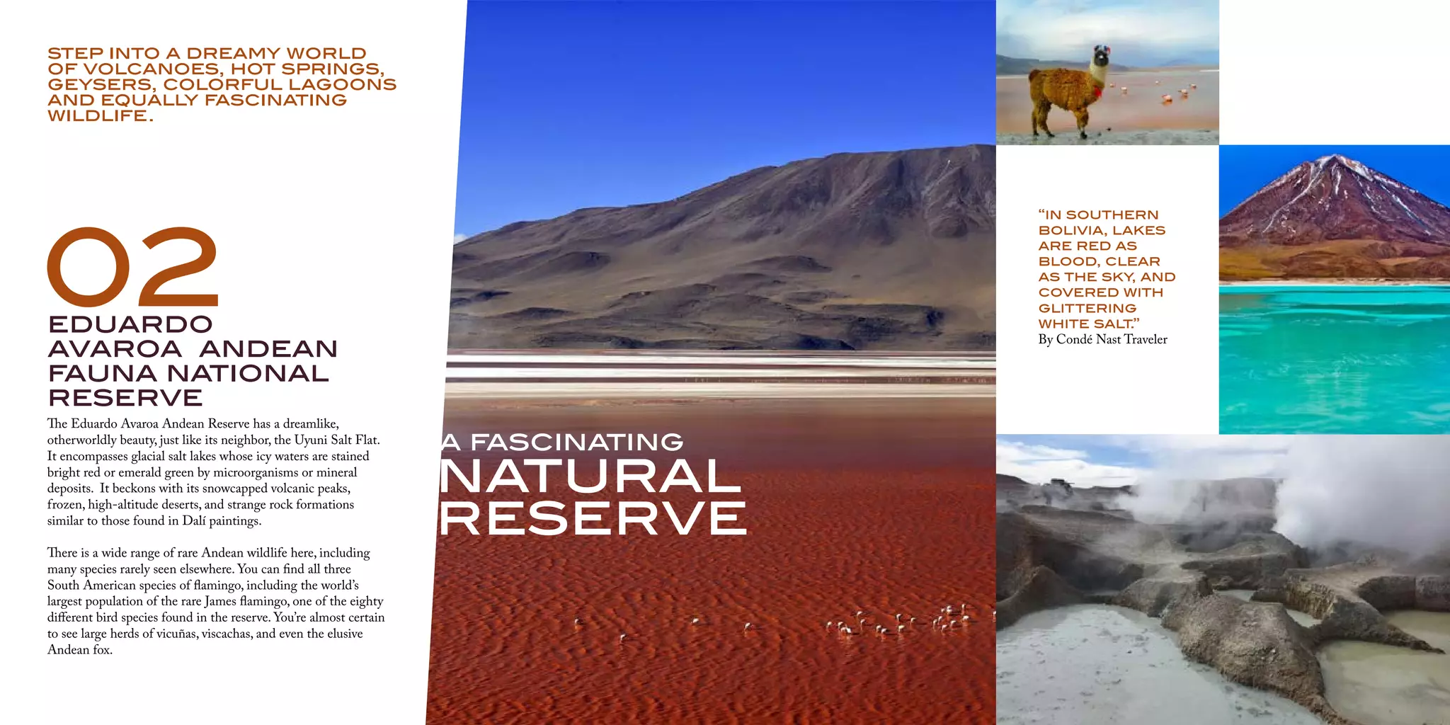Intense Bolivia - Brochure ENG | PDF