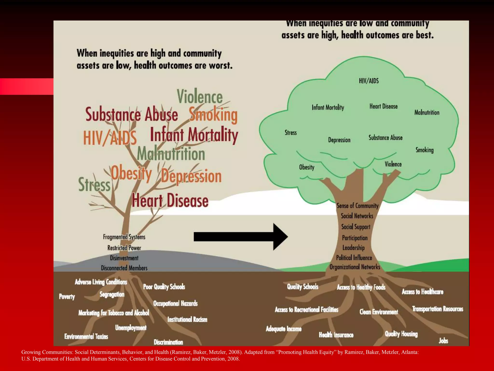 Health Promotion through Collaboration Presentation Kelly Klarich | PPTX