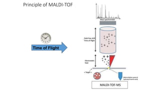 The MALDI-TOF application in diagnostic of microbial agents of ...