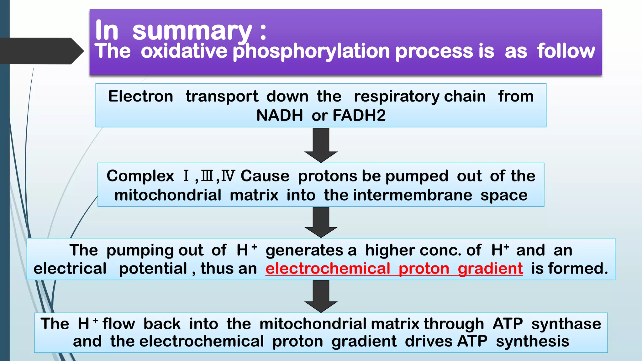 Biological oxidation (part - III) Oxidative Phosphorylation | PDF