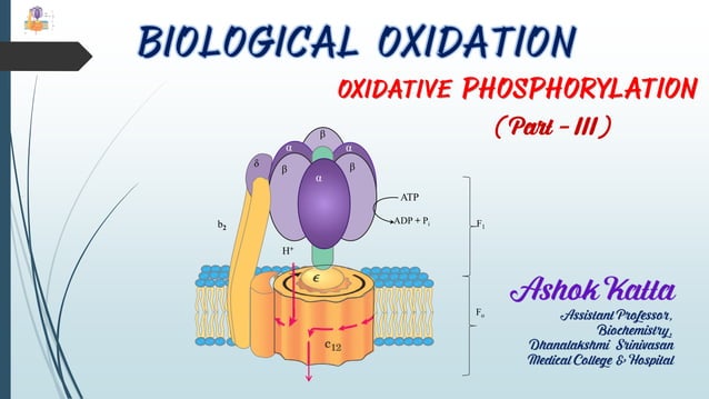 Biological oxidation (part - III) Oxidative Phosphorylation | PDF